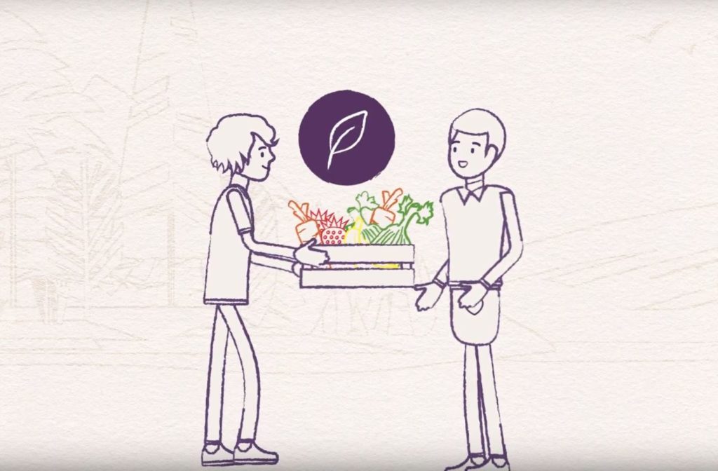 Motion Design, the advantages for corporate videos | Lakeprod